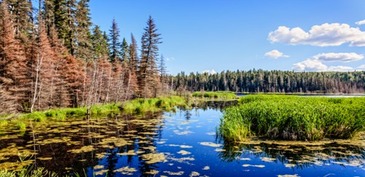 Summer 2025 Musts: Explore, Learn & Thrive This Summer (For Families ...