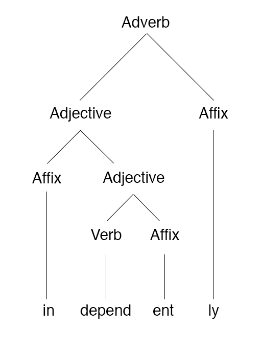 Morphology Activities | Resource Bank