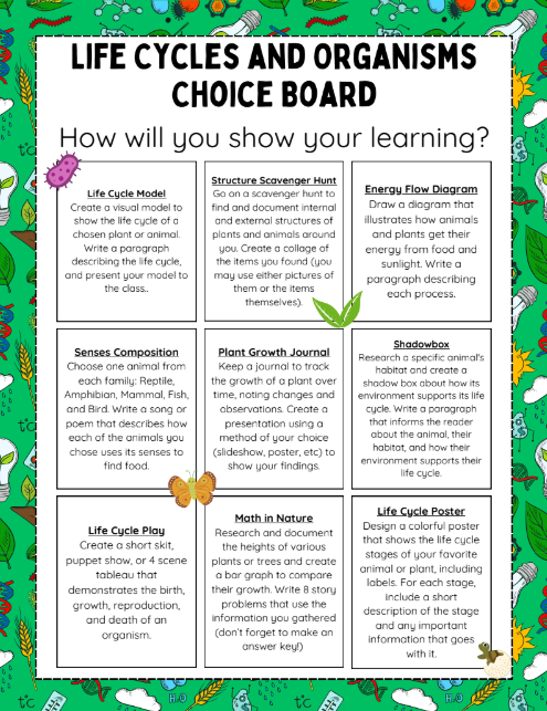STEAM Choice Boards | WISELearn Resources