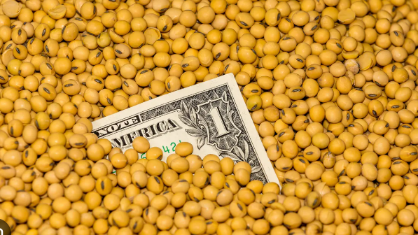 Soybeans: Economic Impact | OER Commons