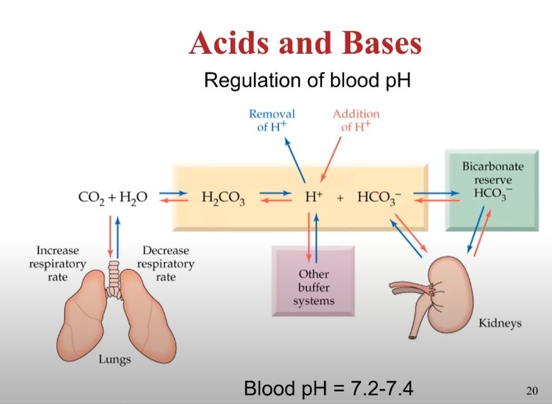 AI-Assisted Lesson: An Introduction to Acids and Bases | OER Commons